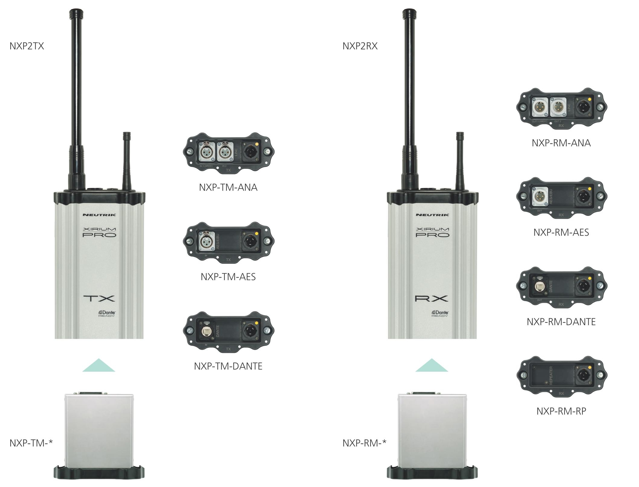 NXP-TM-AES / NXP-TM-AES-PI - Neutrik